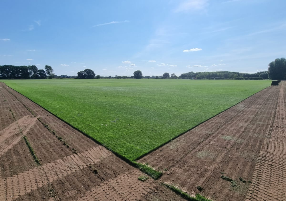 Turf Calendar – A Year-Round Guide to Laying Turf - Inturf