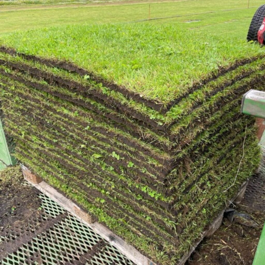 Species Rich Turf - Inturf